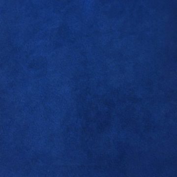 alcantara colour? - AudiSRS.com